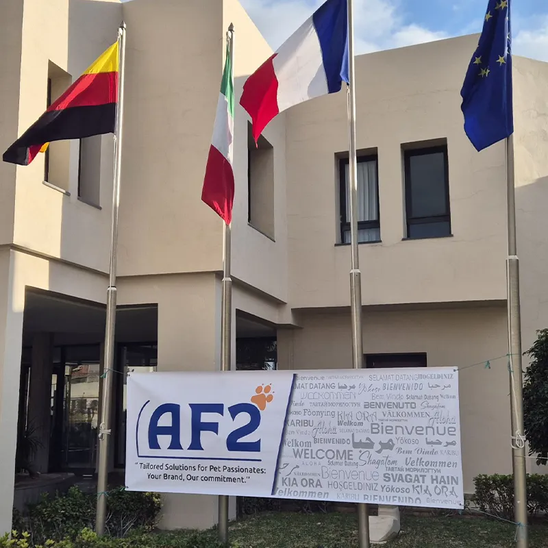 AF2 Team Building Day – AF2