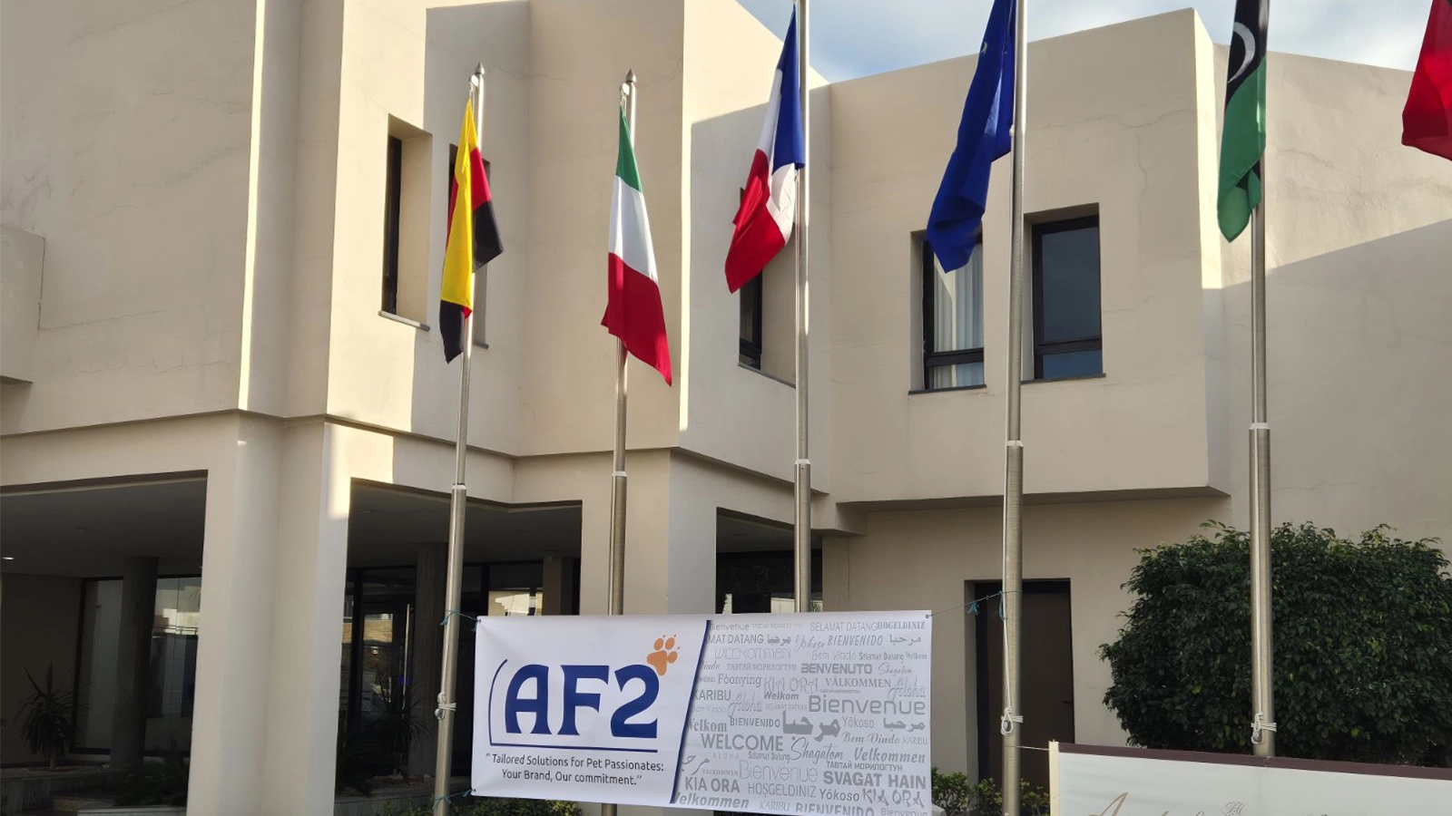AF2 Team Building Day – AF2