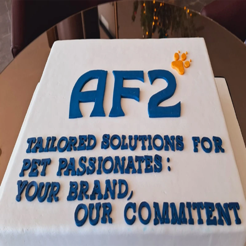 AF2 Team Building Day – AF2
